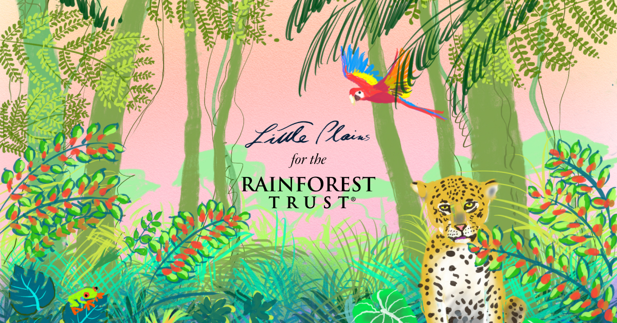Little Plains for the Rainforest Trust